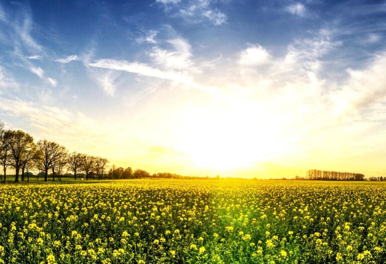 Moćne slike prirode – Vijesti – Logično